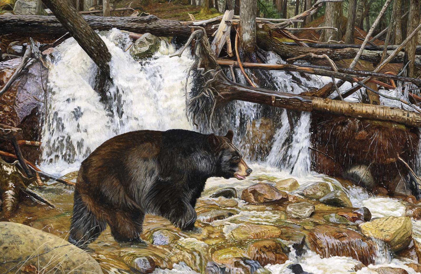 American Art Collector - A Monthly Magazine for Collectors, Galleries ...