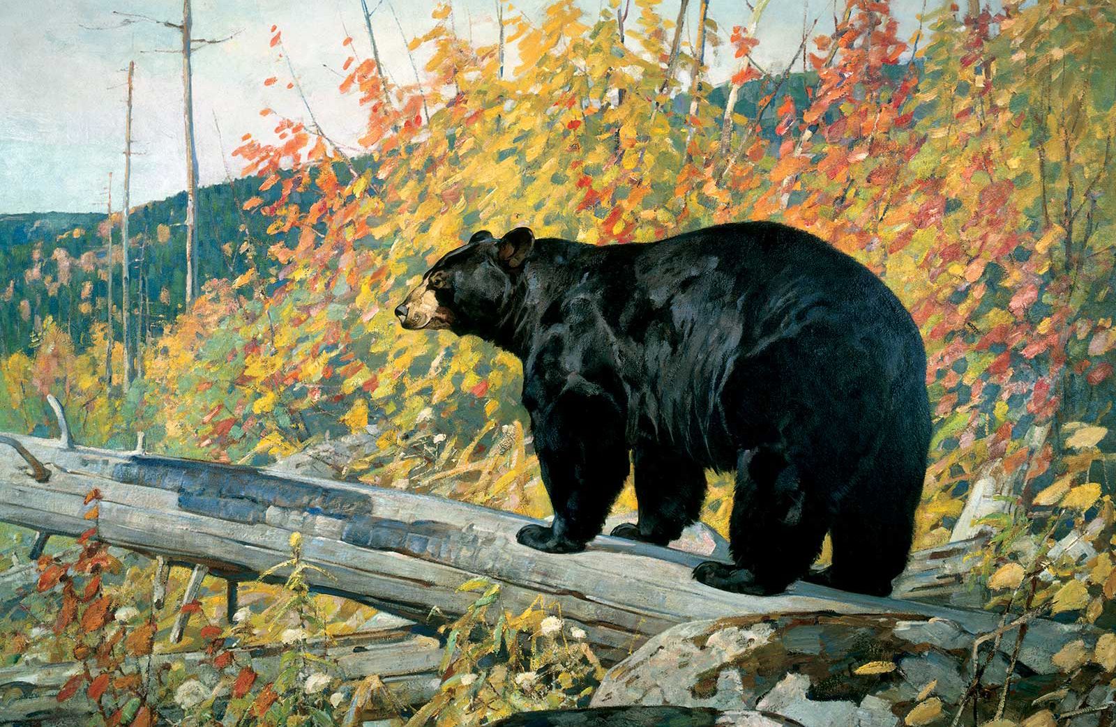 American Art Collector - A Monthly Magazine for Collectors, Galleries ...