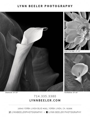 American Art Collector - A Monthly Magazine for Collectors, Galleries ...