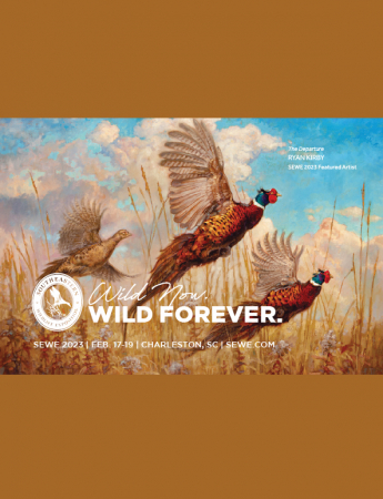 American Art Collector - Southeastern Wildlife Exposition