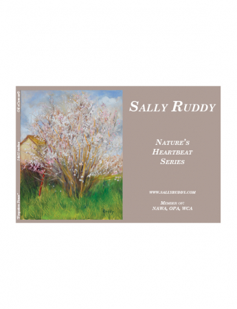 American Art Collector - Sally Ruddy